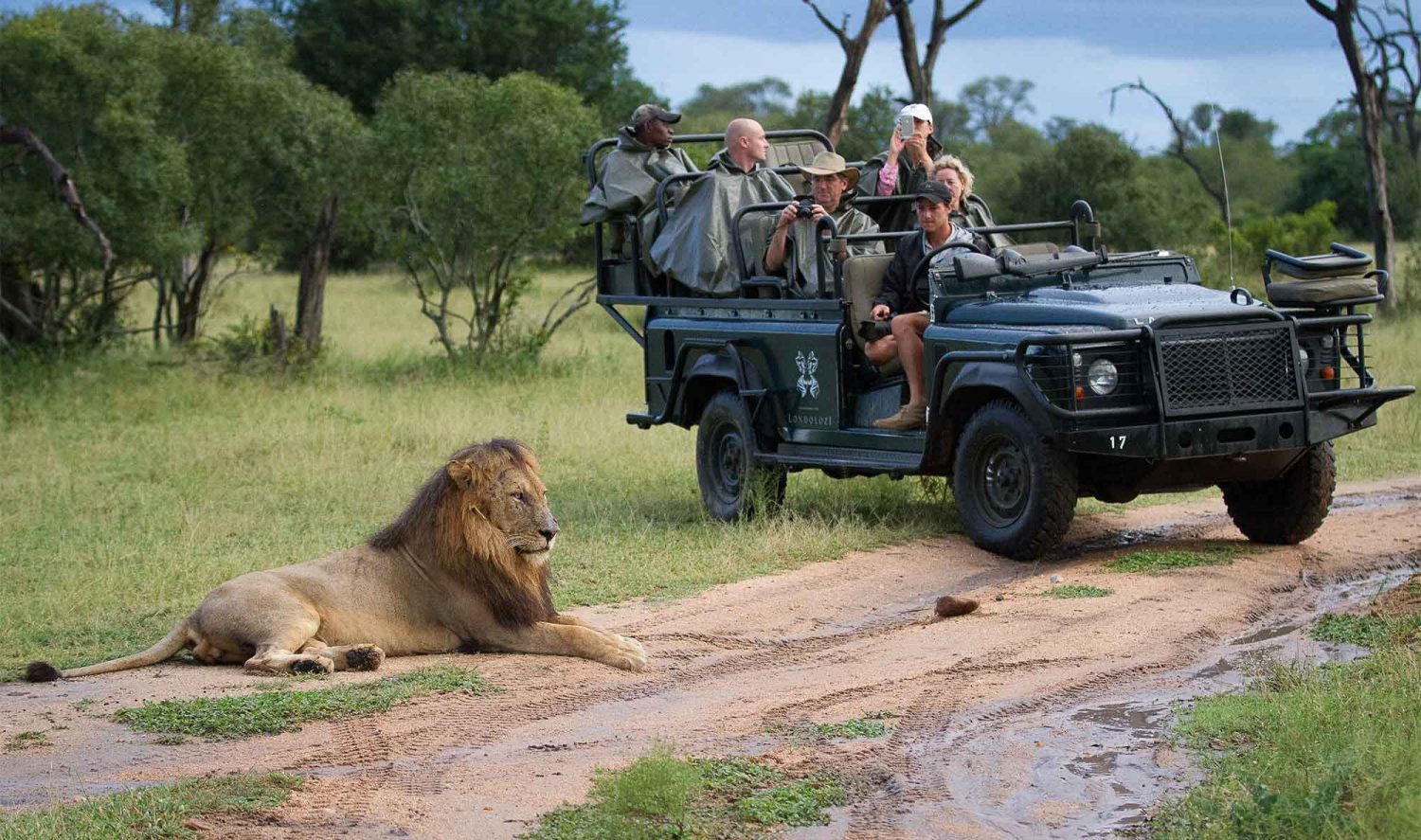 African Safari Deals - The latest deals from the top African Safari Lodges